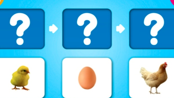 Animal Life Cycle 🕹️ Play Now on GamePix