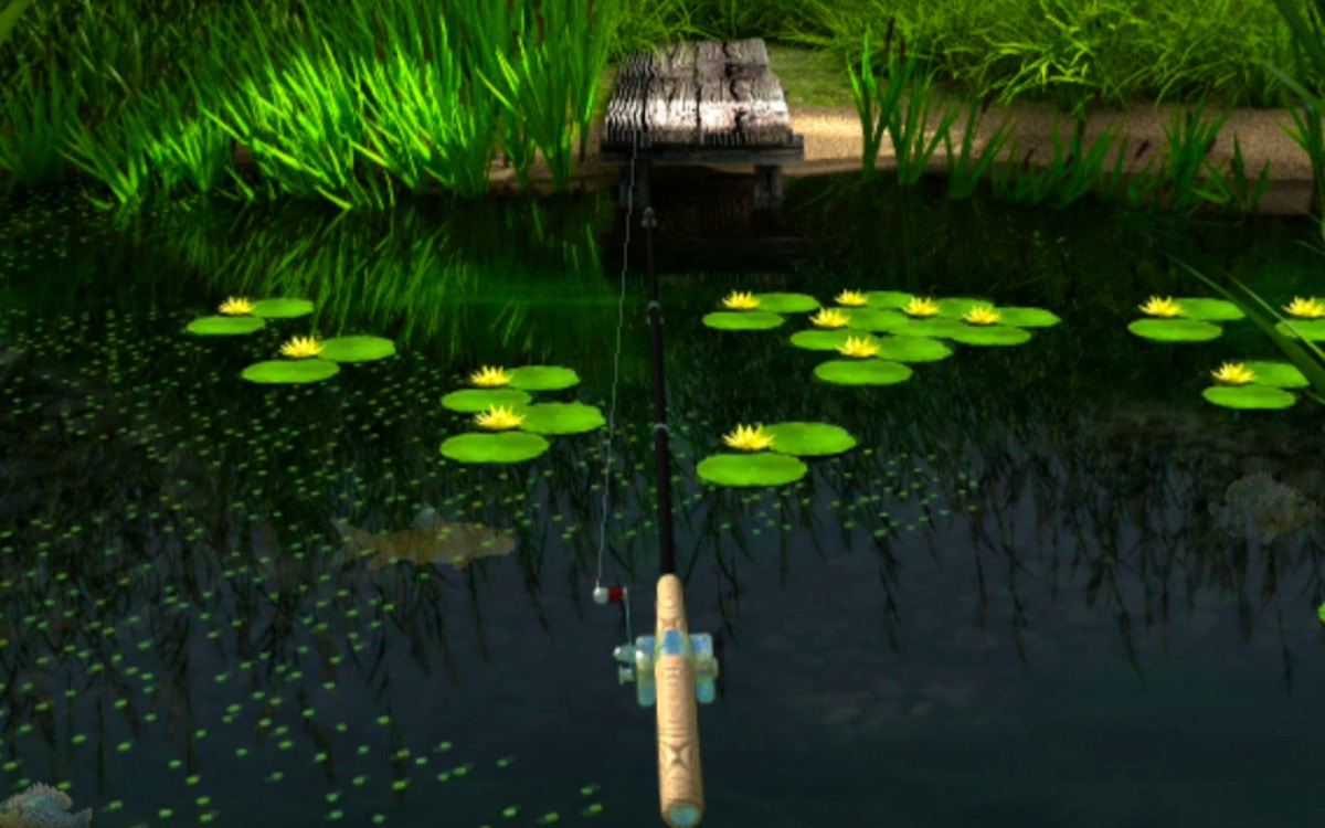 Backwater Fishing 🕹️ Play Now on GamePix
