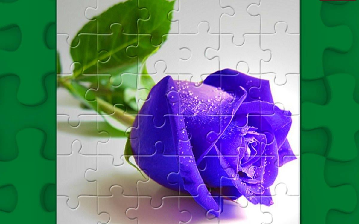 Blue Roses Puzzle 🕹️ Play Now on GamePix