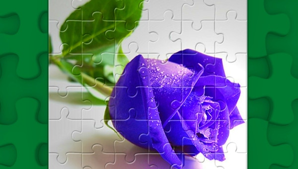 Blue Roses Puzzle 🕹️ Play Now on GamePix