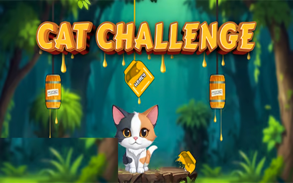 Cat Challenge 🕹️ Jetzt spielen auf GamePix