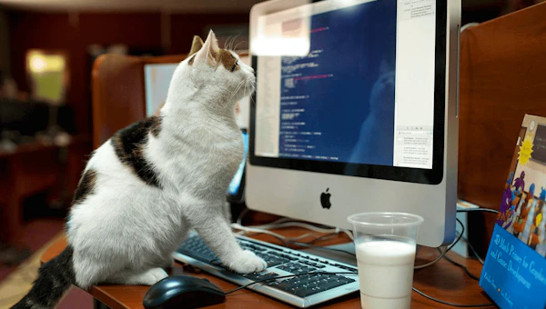 Cat Memory Match 🕹️ Play Now on GamePix