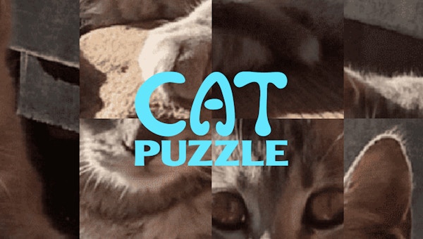 Cat Puzzle 🕹️ Play Now on GamePix