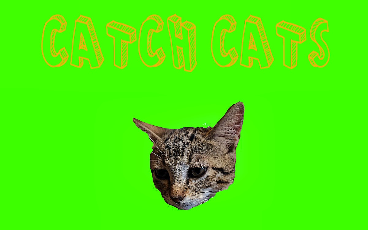 Catch Cats 🕹️ Play Now on GamePix