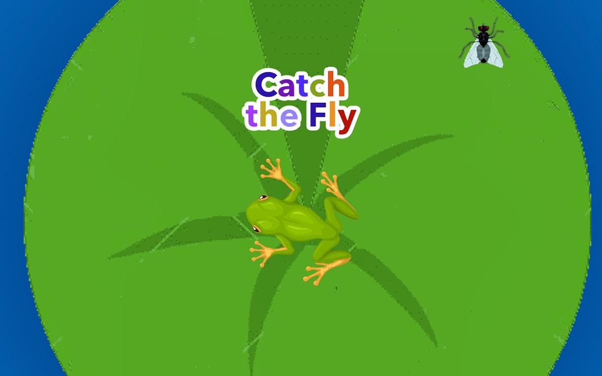 Catch The Fly 🕹️ Play Now on GamePix