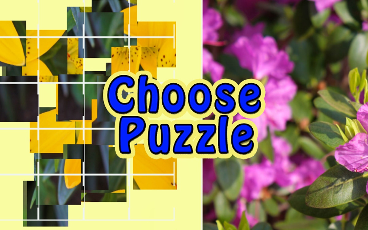 Choose Puzzle:play Choose Puzzle online for free on GamePix