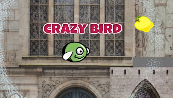 Crazybird 🕹️ Play Now on GamePix