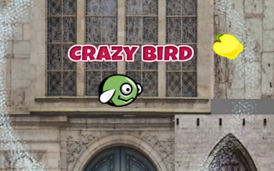 Crazybirdcity 🕹️ Play Now on GamePix