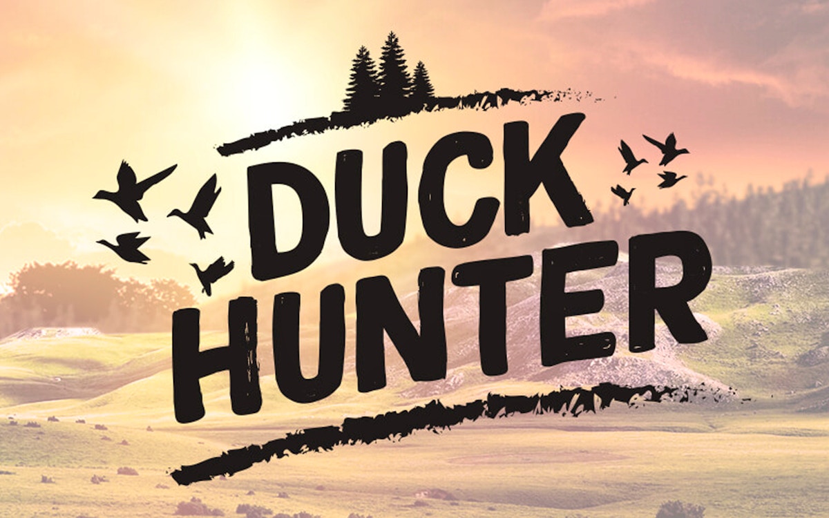 Duck Hunter Game 🕹️ Play Now on GamePix