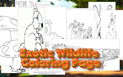Exotic Wildlife Coloring Page 🕹️ Joue Maintenant sur GamePix