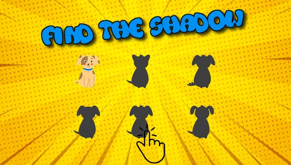 Find The Shadow 🕹️ Play Now on GamePix
