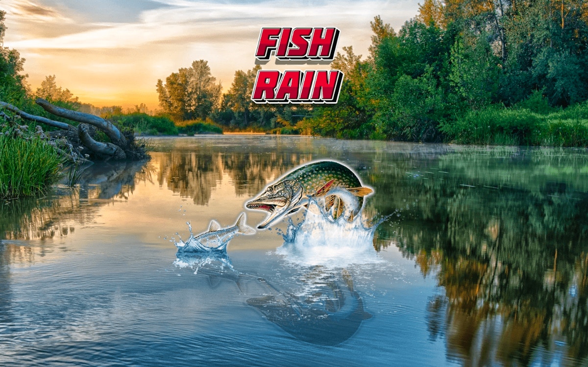 Fish Rain 🕹️ Play Now on GamePix