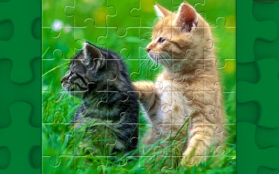 Funny Kitty Puzzle 🕹️ Zagraj teraz na GamePix