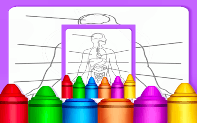 body coloring pages for preschoolers