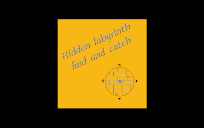 Hidden Labyrinth - Find And Catch 🕹️ Play Now on GamePix