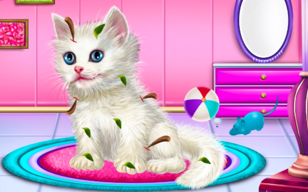 Kitty Care And Grooming 🕹️ Play Now on GamePix
