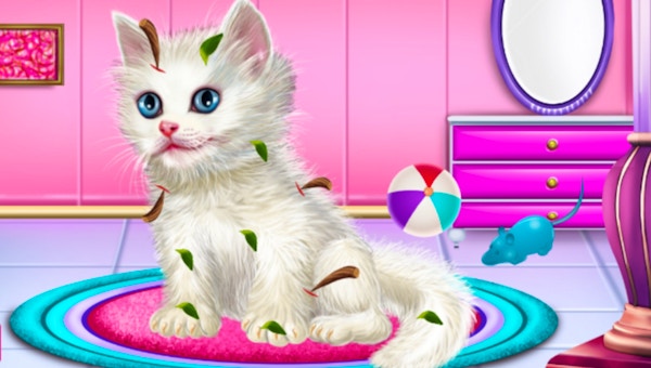 Kitty Care And Grooming 🕹️ Play Now on GamePix
