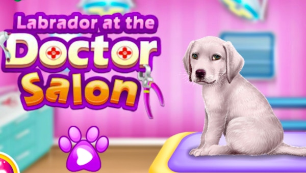 Labrador At The Doctor Salon 🕹️ Play Now on GamePix
