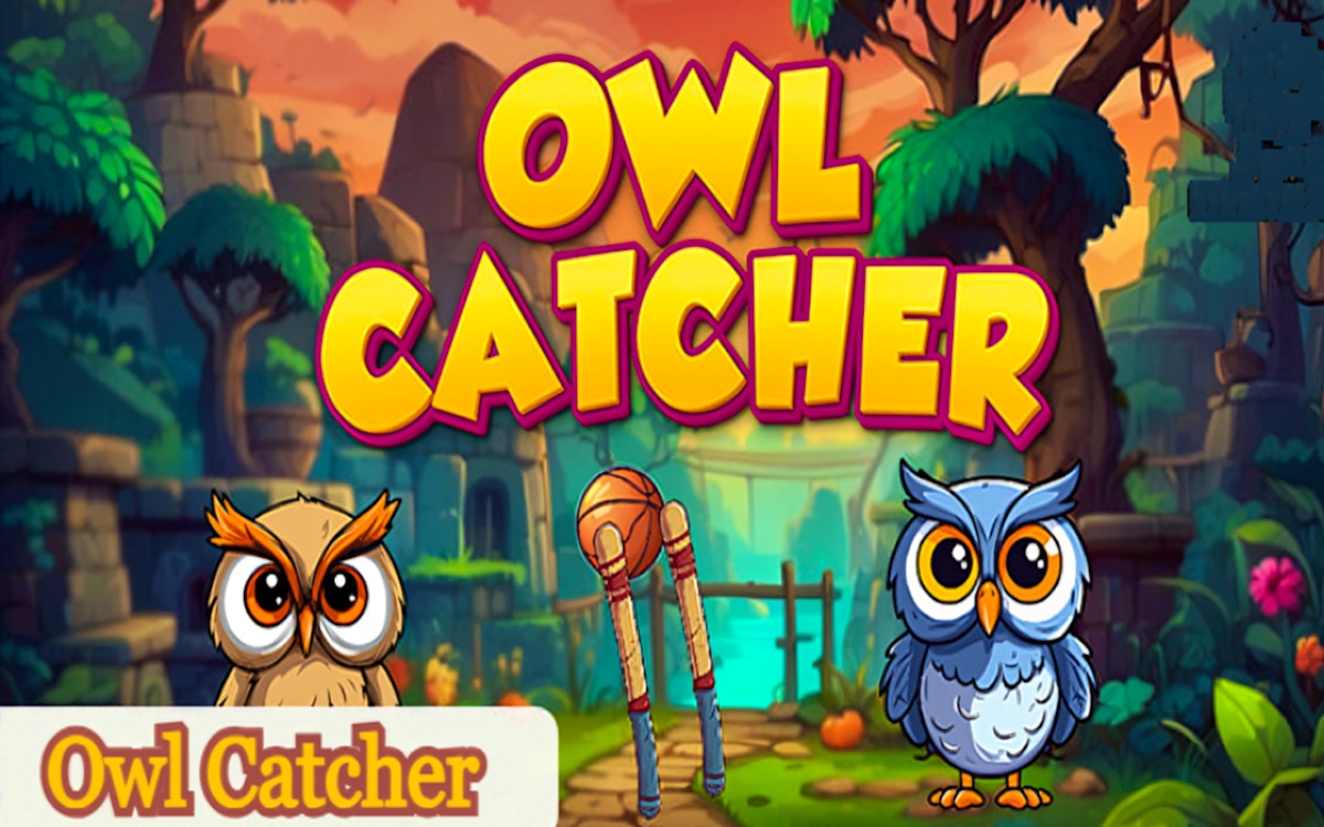 Owl Catcher 🕹️ Play Now on GamePix
