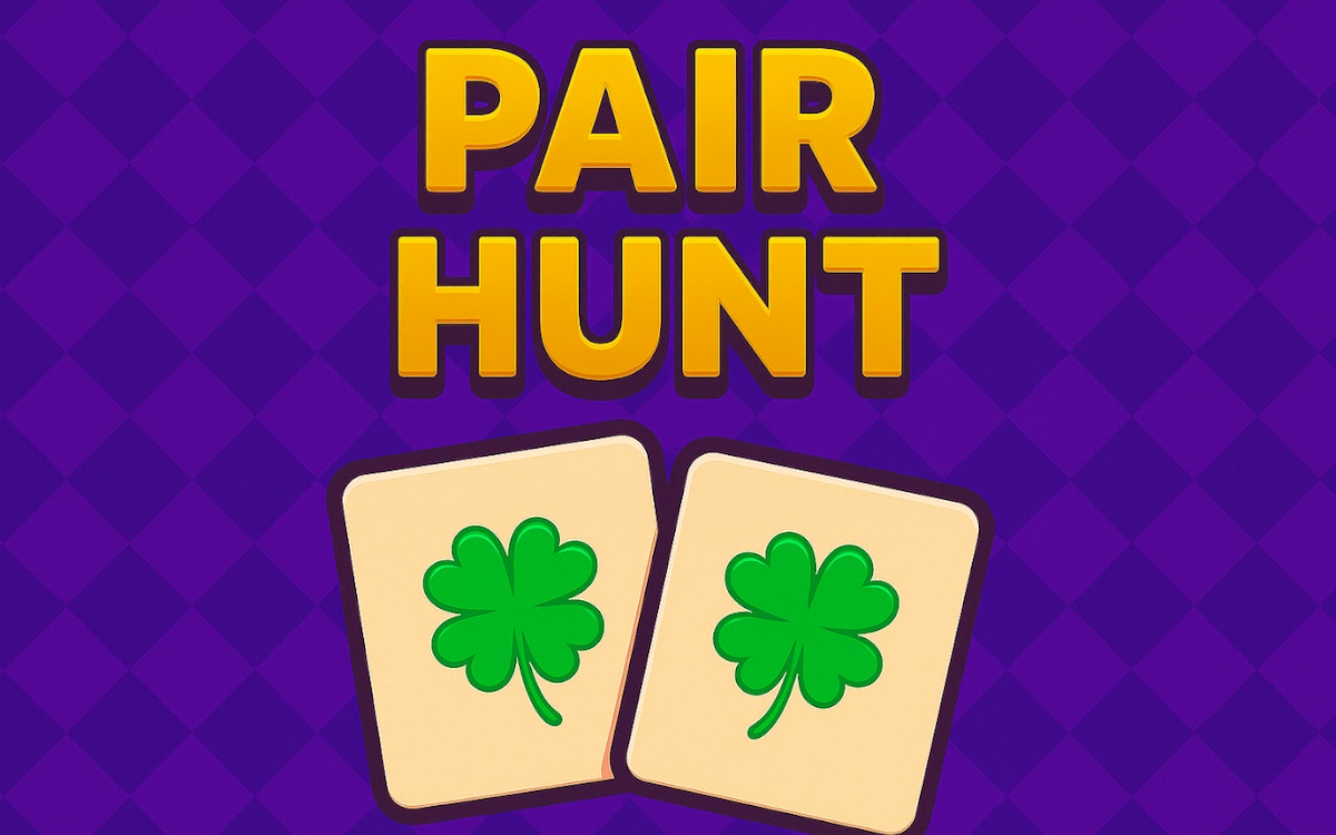 Pair Hunt 🕹️ Play Now on GamePix