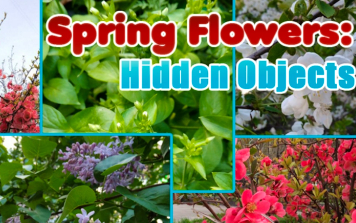 Spring Flowers: Hidden Objects 🕹️ Play Now on GamePix