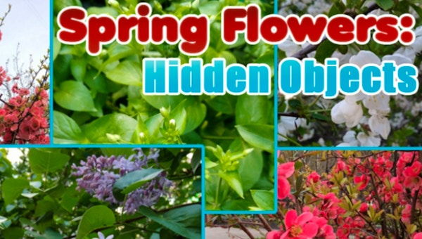 Spring Flowers: Hidden Objects 🕹️ Play Now on GamePix