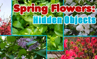 Spring Flowers: Hidden Objects 🕹️ Play Now on GamePix
