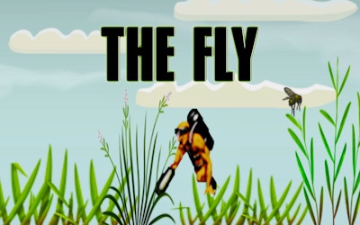 The Fly 🕹️ Play Now on GamePix