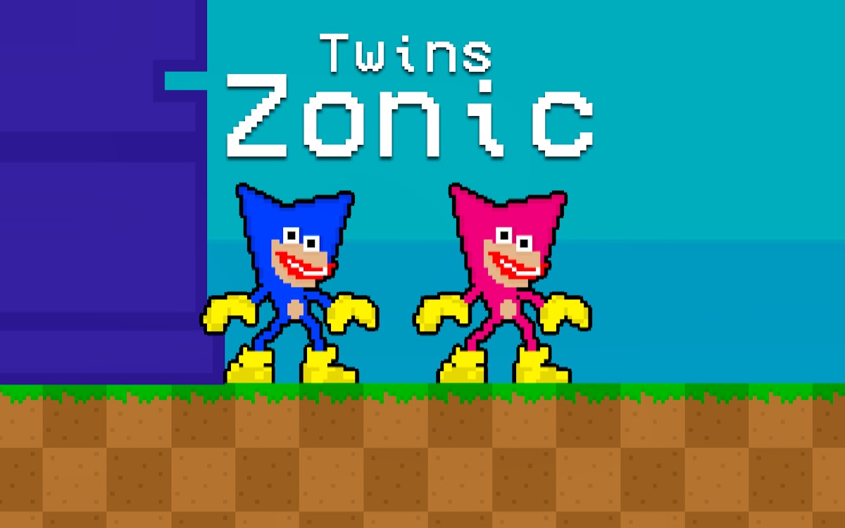 Twins Zonic 🕹️ Play Now on GamePix