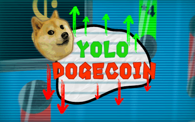 Yolo Dogecoin 🕹️ Play Now on GamePix